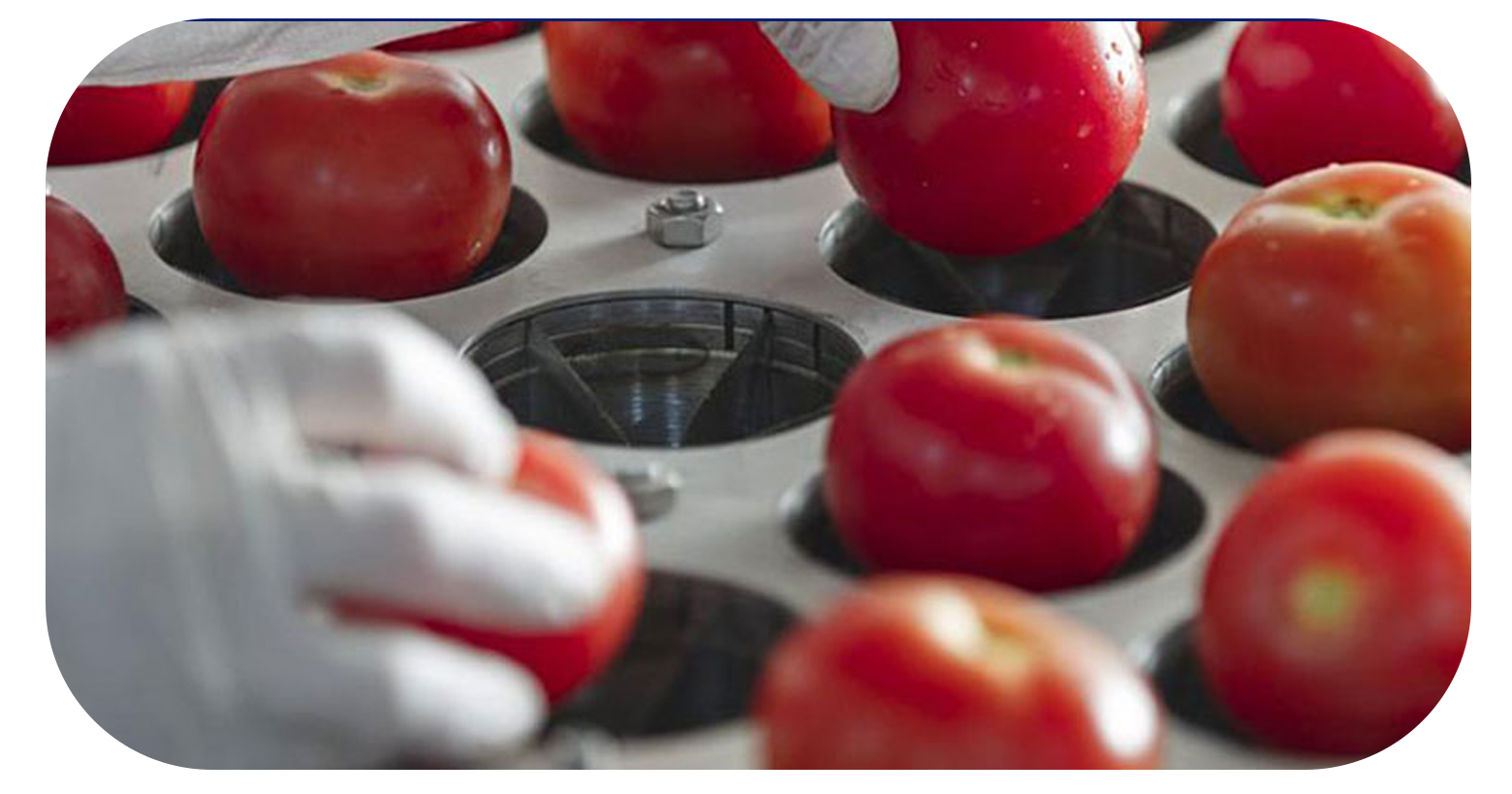 ¿Qué es un certificado NSF?